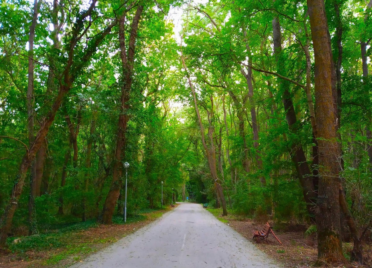 Заповідник “Балтата”, Албена. Готелі поруч, фото, відео, як добратися ...